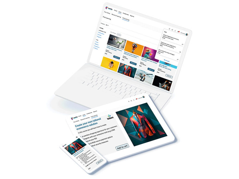 Why LMS Design and the Learning Journey Matter